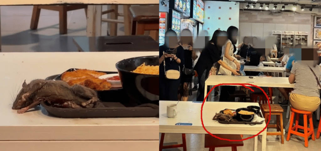 Rat incident at Tangs Market Food Court sparks concerns and SFA ...